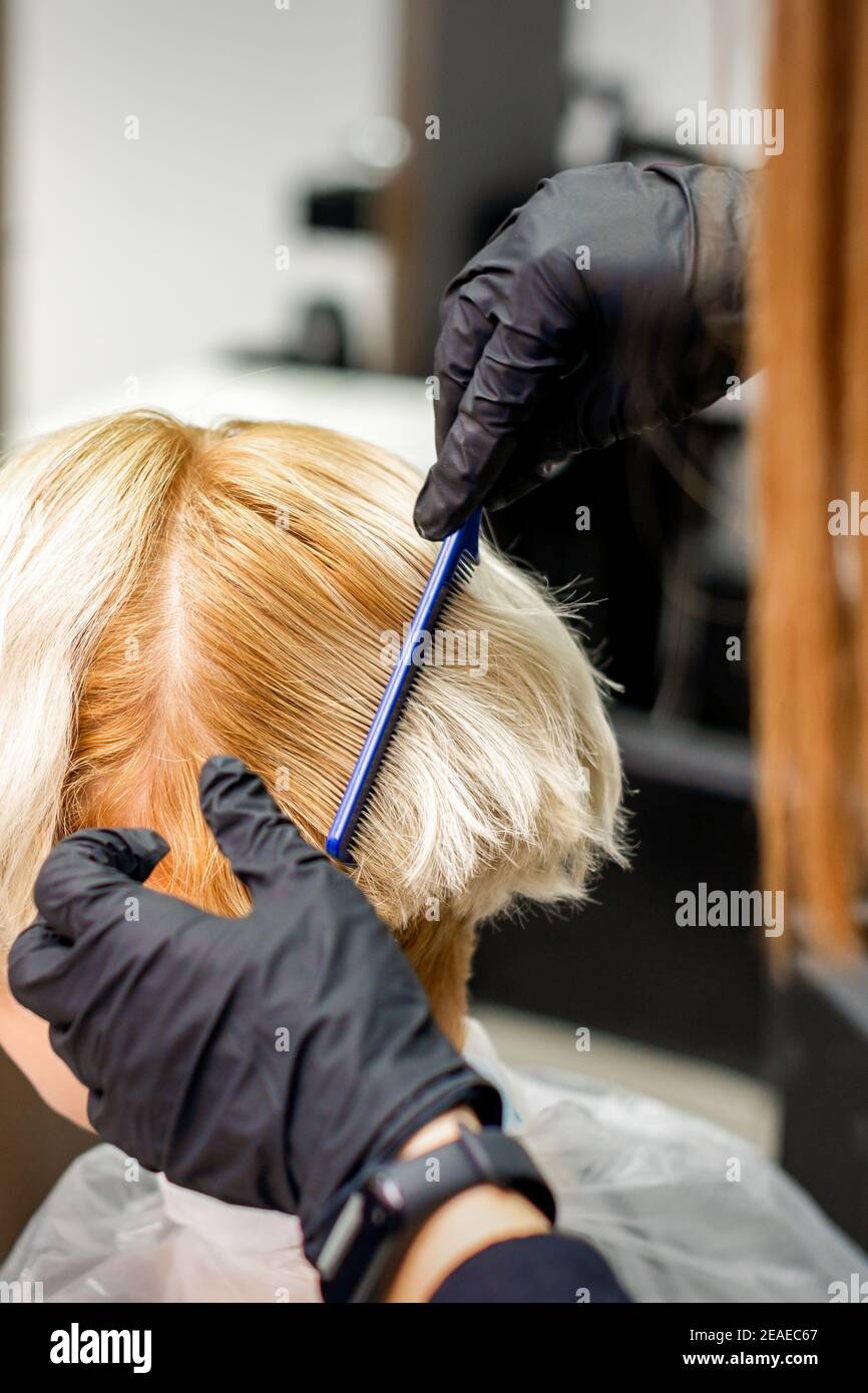 Hairdresser combing female short blonde hair before dyeing in a hair ...