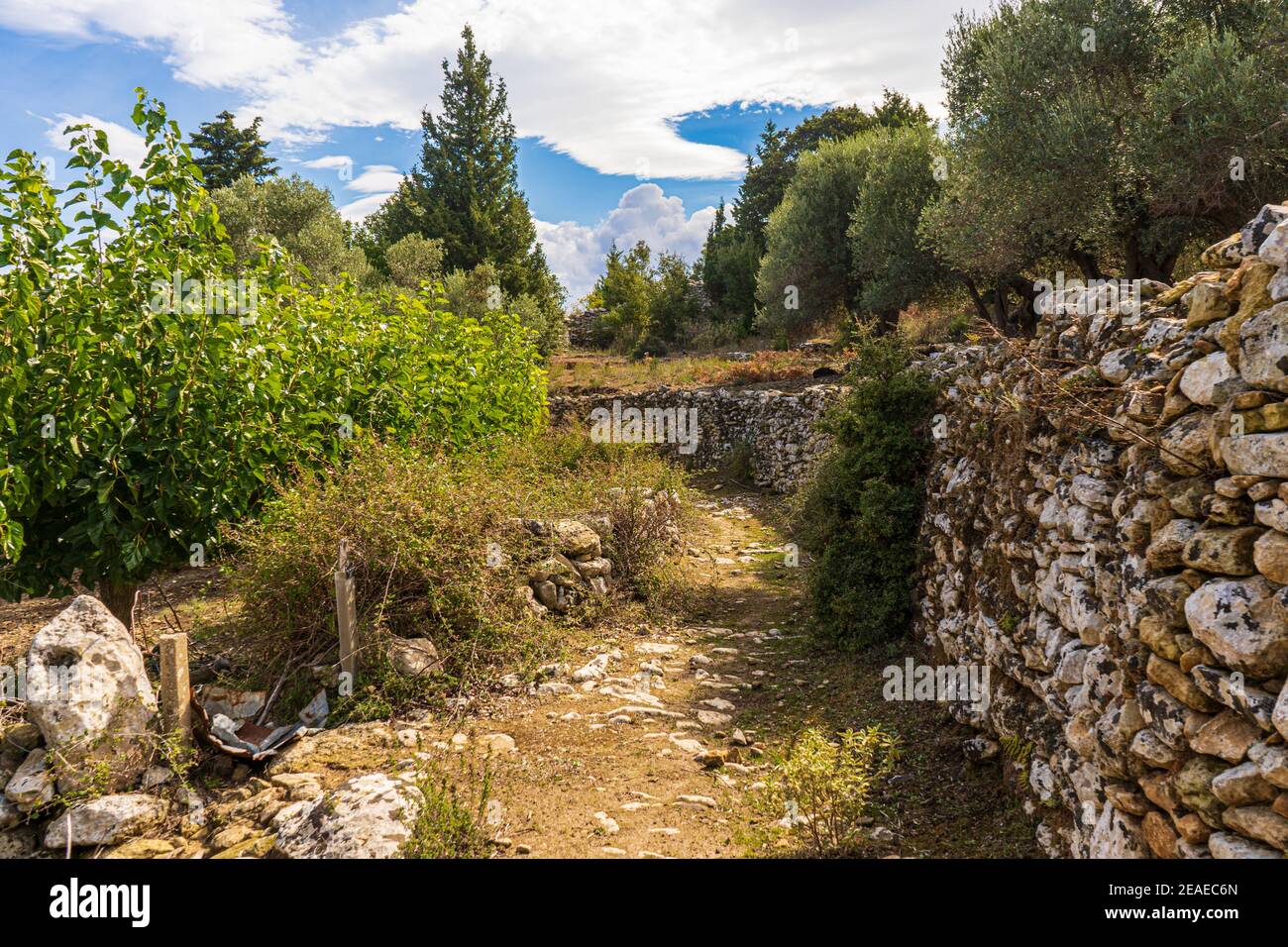 Footpath through fields with a stone wall on the island of Crete ...