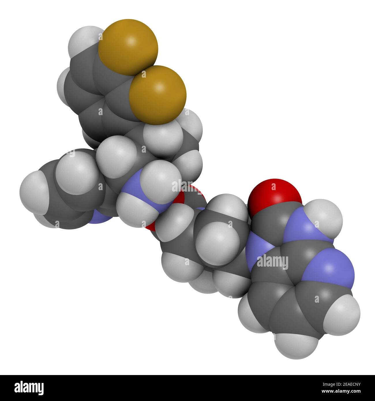 Cgrp molecule hi-res stock photography and images - Alamy