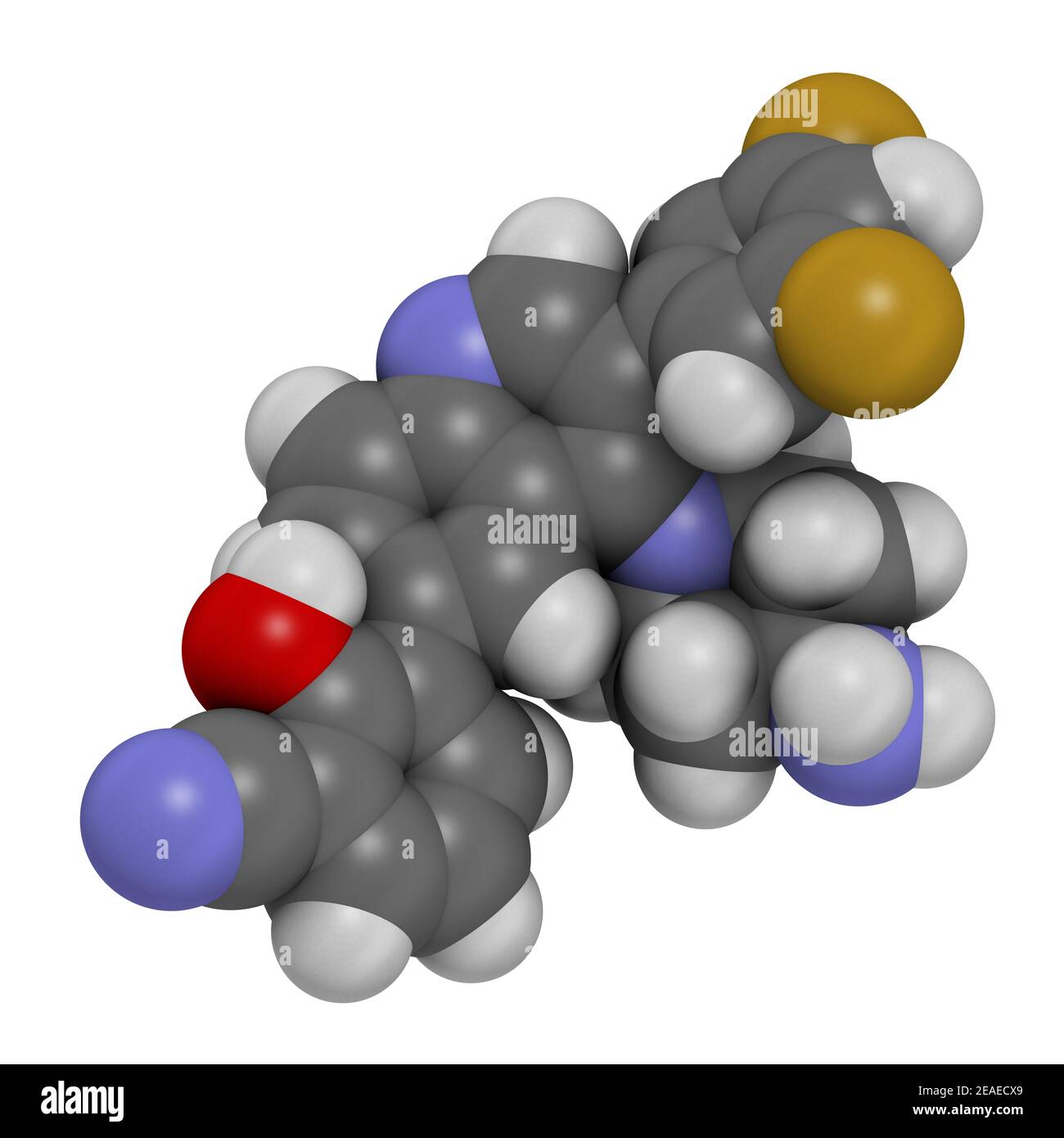 Acromegaly hi-res stock photography and images - Alamy