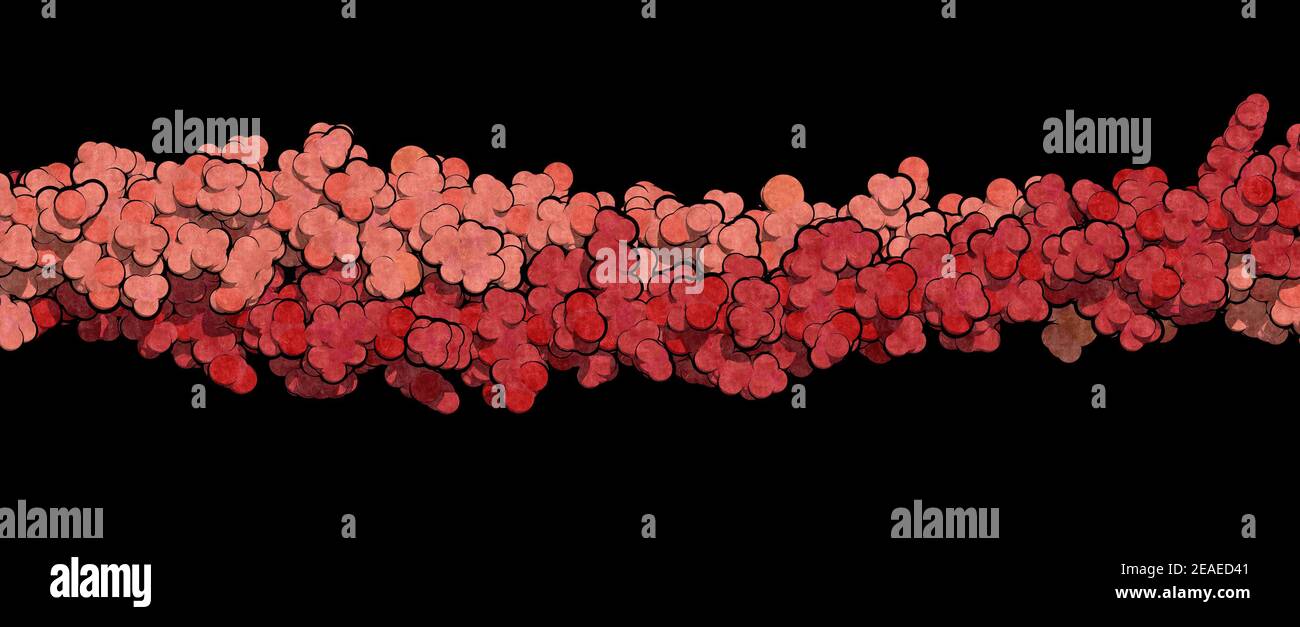 Keratin intermediate filament. Protein that is one of the main ...