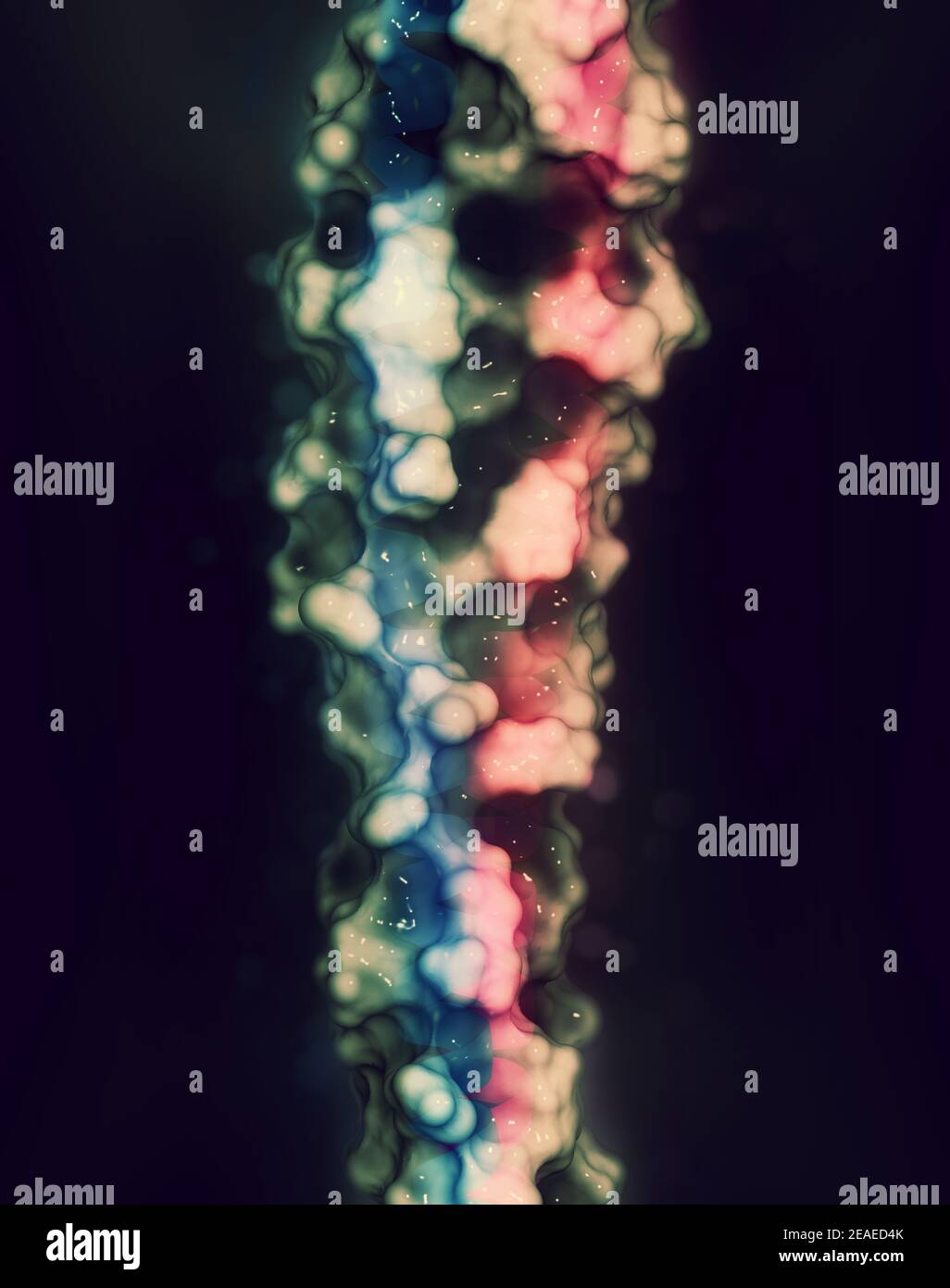 Keratin intermediate filament. Protein that is one of the main ...