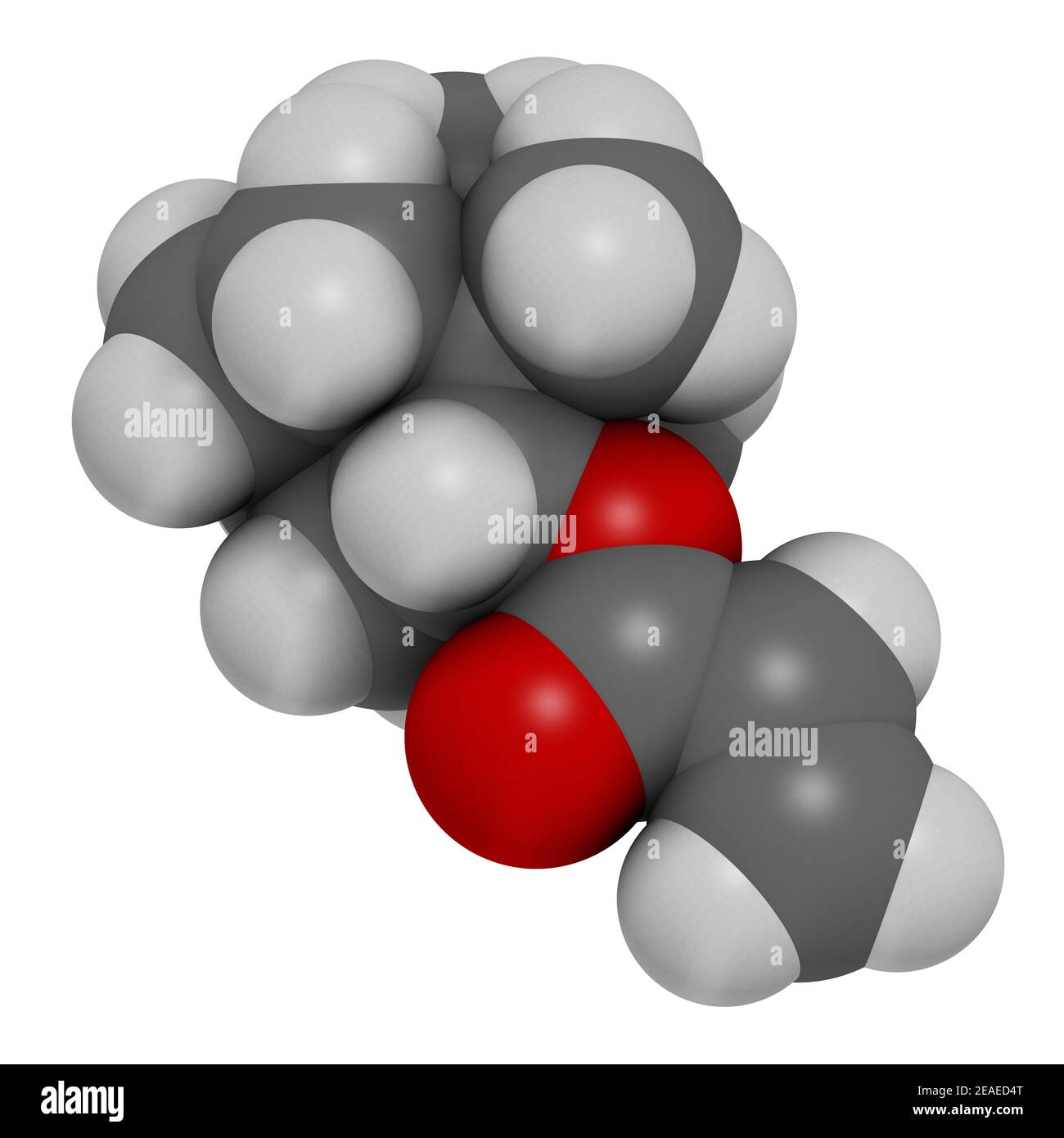 Isobornyl acrylate molecule. 3D rendering. Atoms are represented as ...