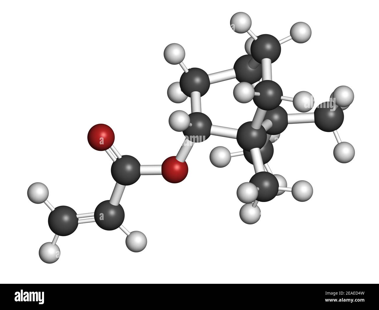 Isobornyl acrylate molecule. 3D rendering. Atoms are represented as ...