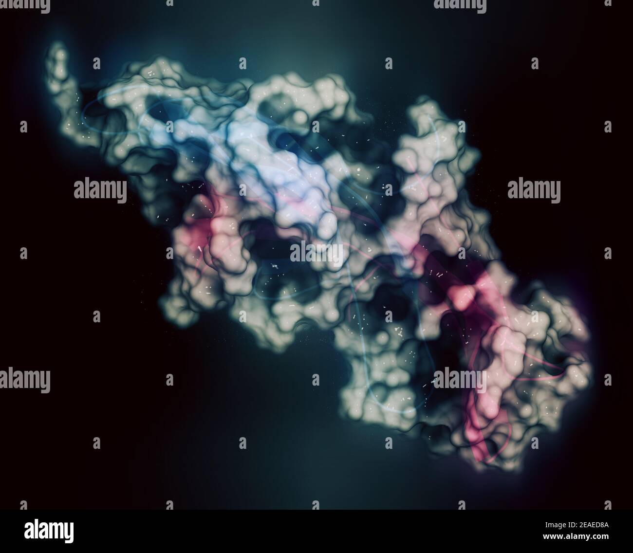 Human Chorionic Gonadotropin (hCG) glycoprotein hormone, chemical ...