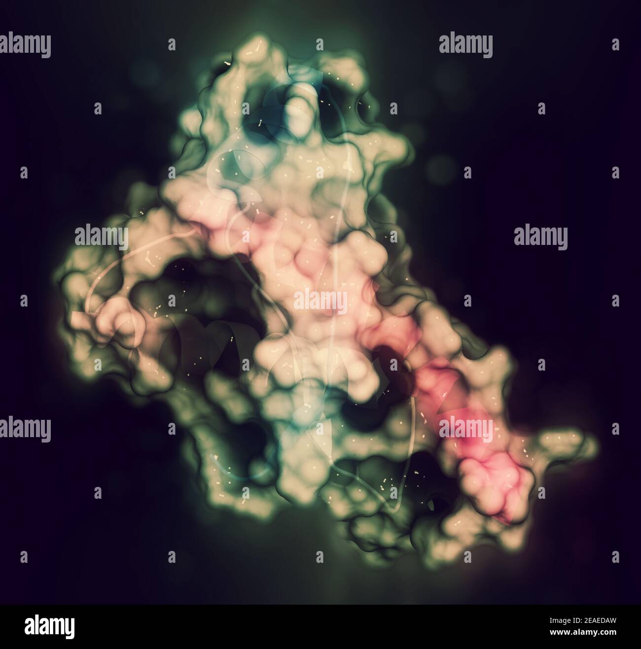 Human prion protein (hPrP). Associated with neurodegenerative diseases ...