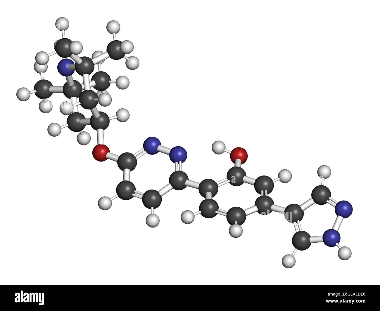 Muscular atrophy disease hi-res stock photography and images - Alamy
