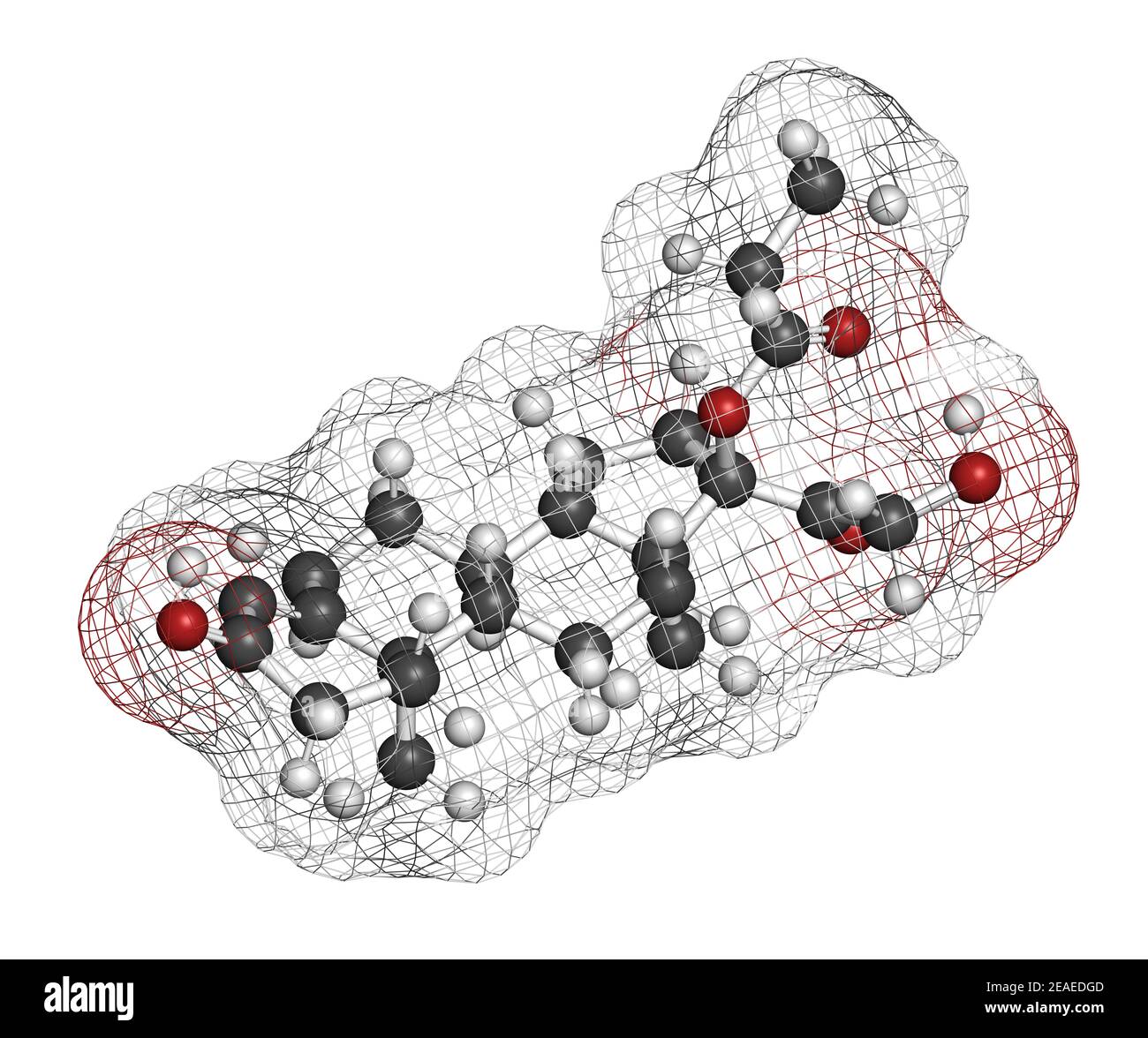 Clascoterone drug molecule. 3D rendering. Atoms are represented as ...