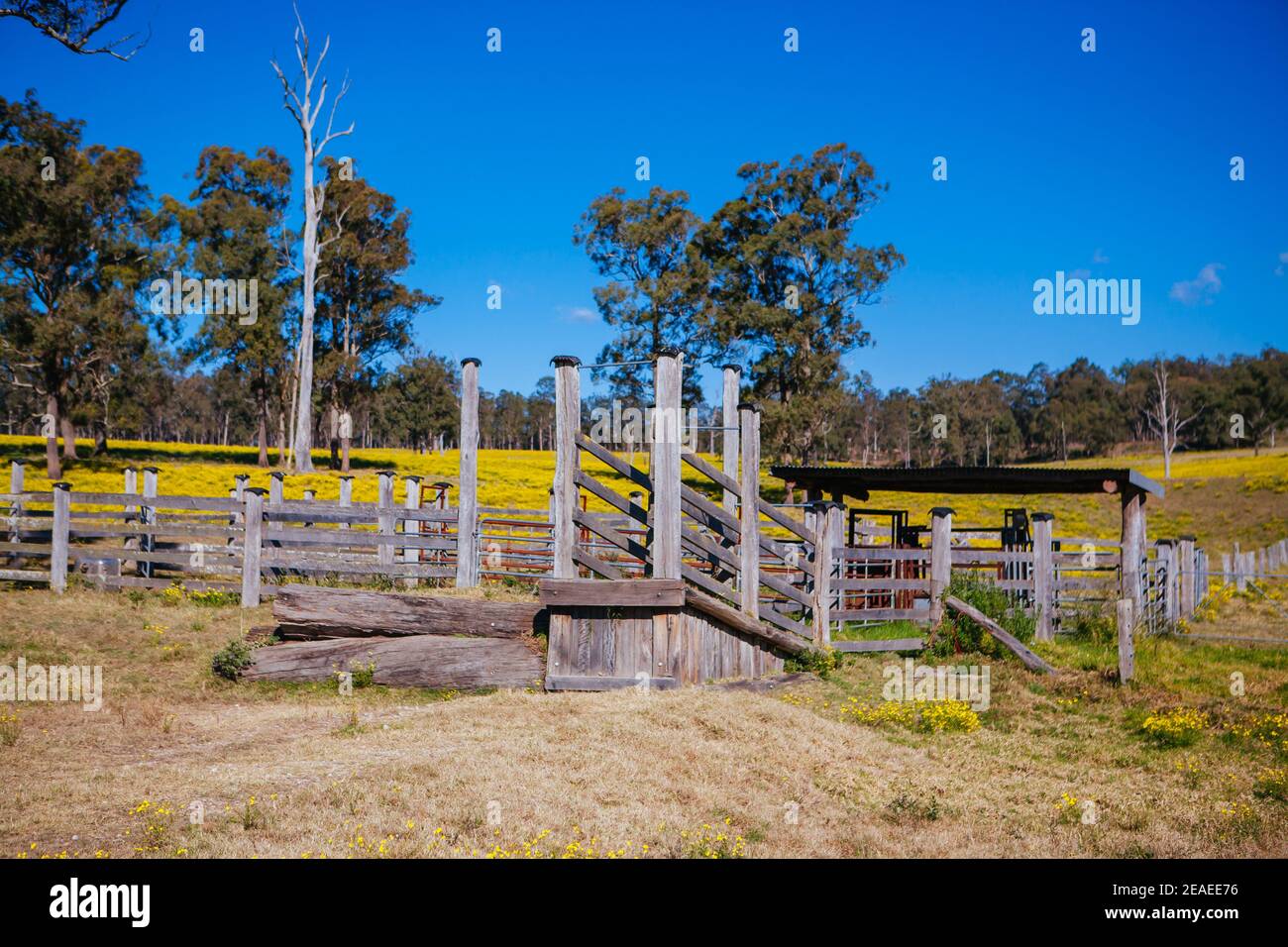 Hunter Valley Landscape in Australia Stock Photo - Alamy