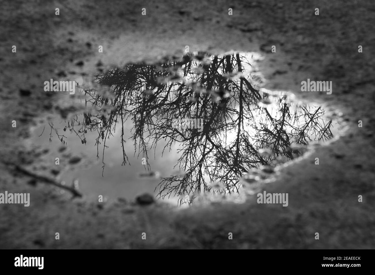 Puddle drain hi-res stock photography and images - Alamy