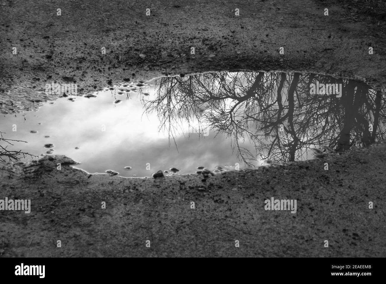 Mud puddle reflection night hi-res stock photography and images - Alamy