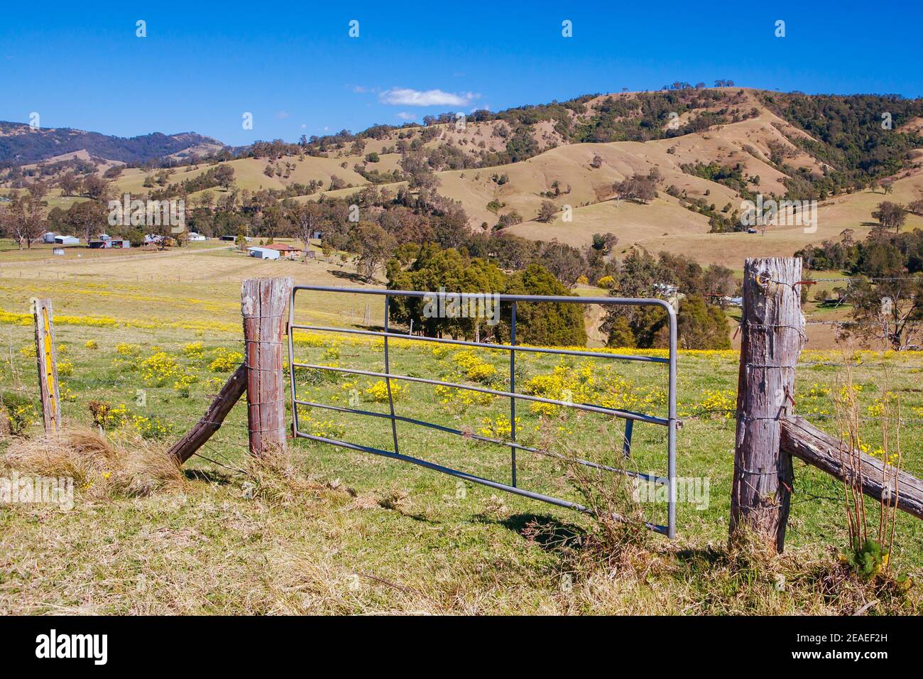 Hunter Valley Landscape in Australia Stock Photo - Alamy