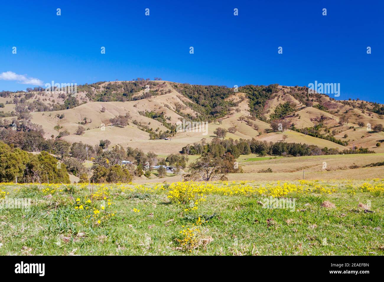 Hunter Valley Landscape in Australia Stock Photo - Alamy