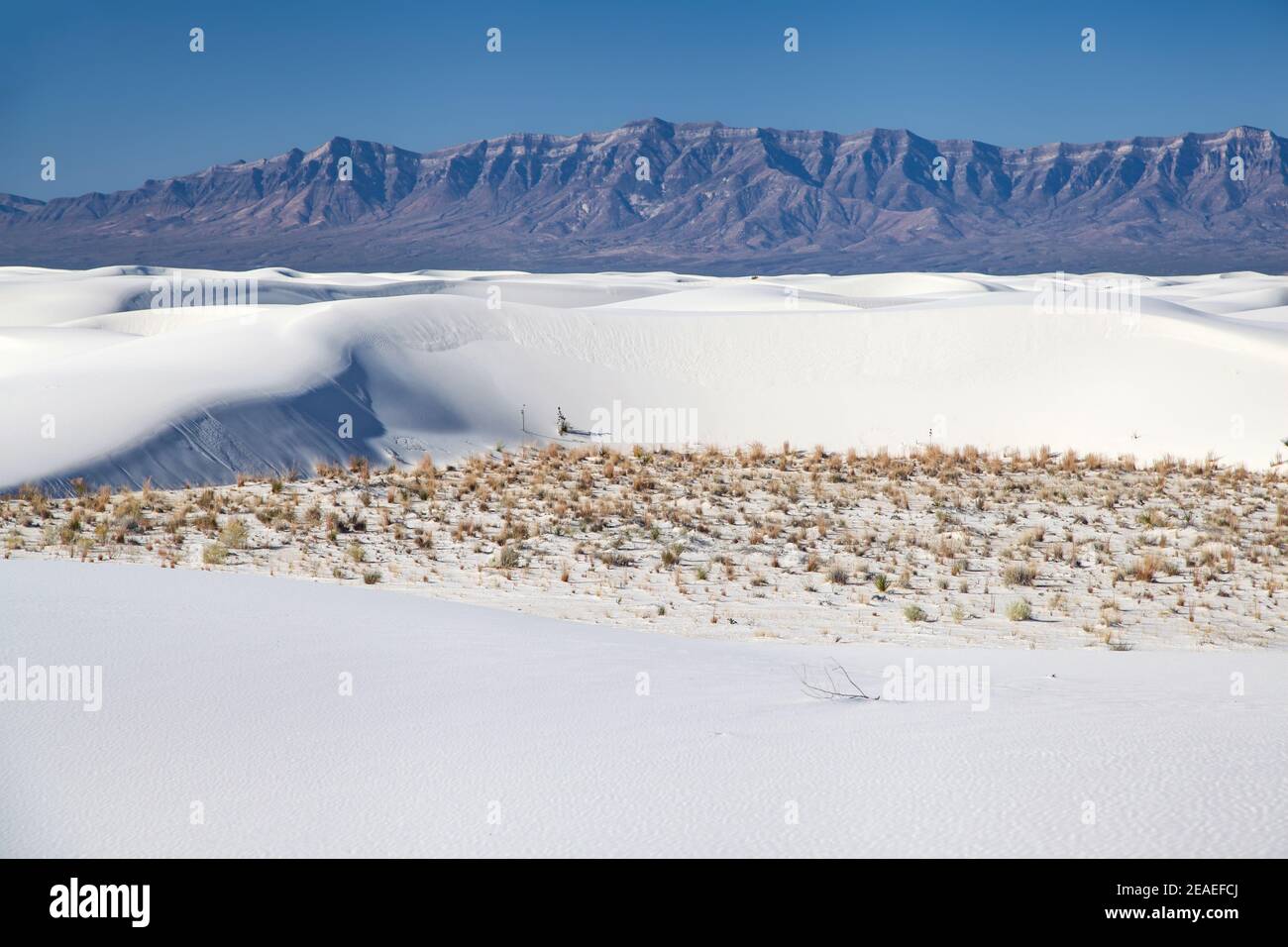 Hiking the desert landscape of the gypsum dunes in the White Sands ...