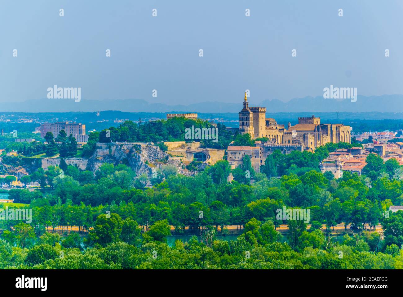 Cityscape of Avignon with Palais des Papes and Cathedral of Our Lady ...