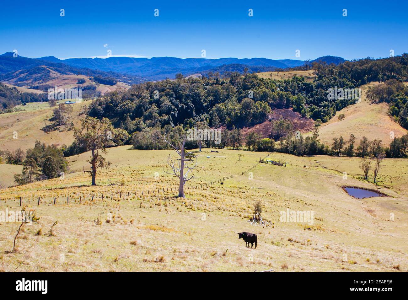 Hunter Valley Landscape in Australia Stock Photo - Alamy