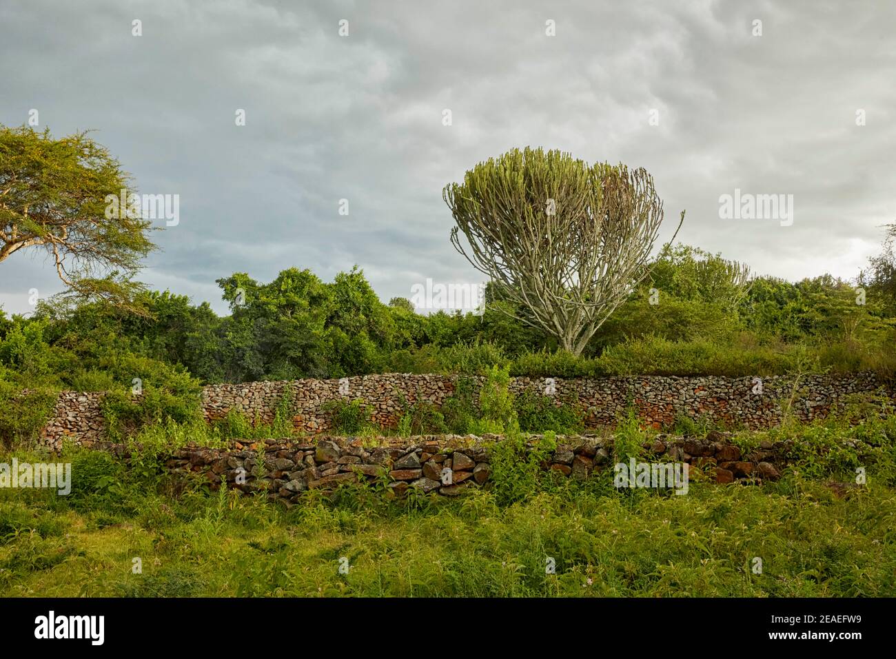 Kochieng Complex in Thimlich Ohinga complex (UNESCO) in Kenya, Africa ...