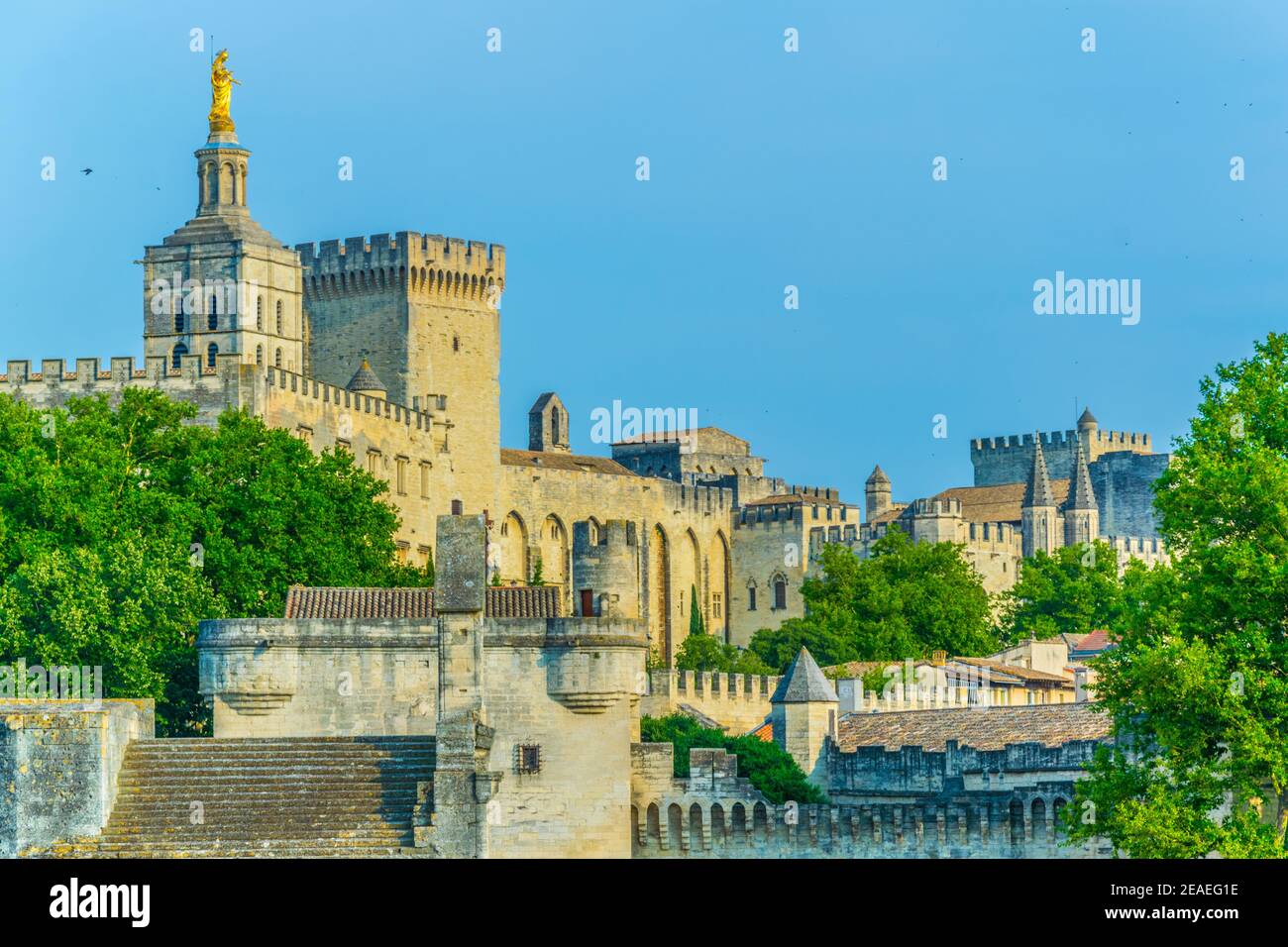 Cityscape of Avignon with Palais des Papes and Cathedral of Our Lady ...