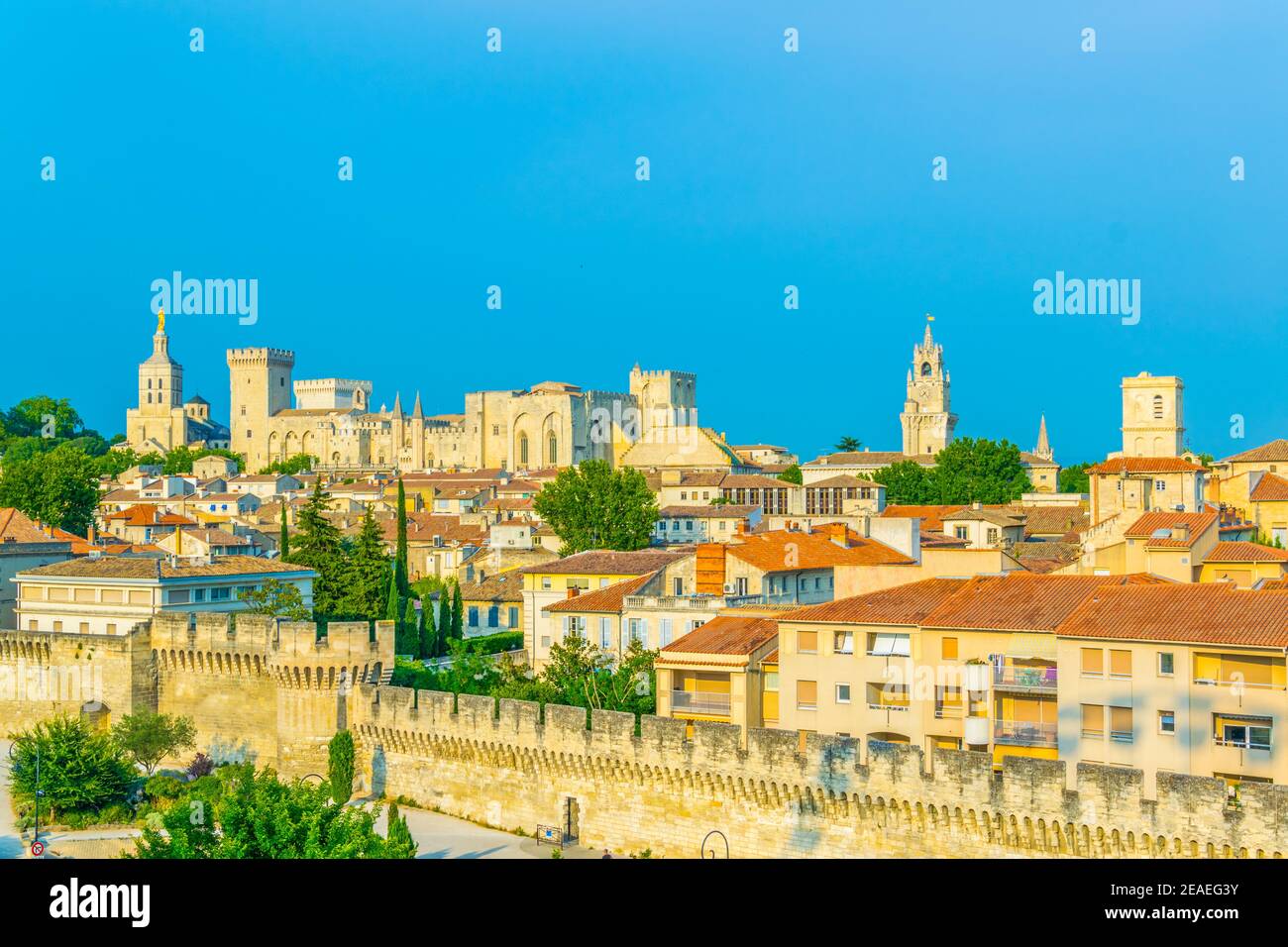 Cityscape of Avignon with Palais des Papes and Cathedral of Our Lady ...
