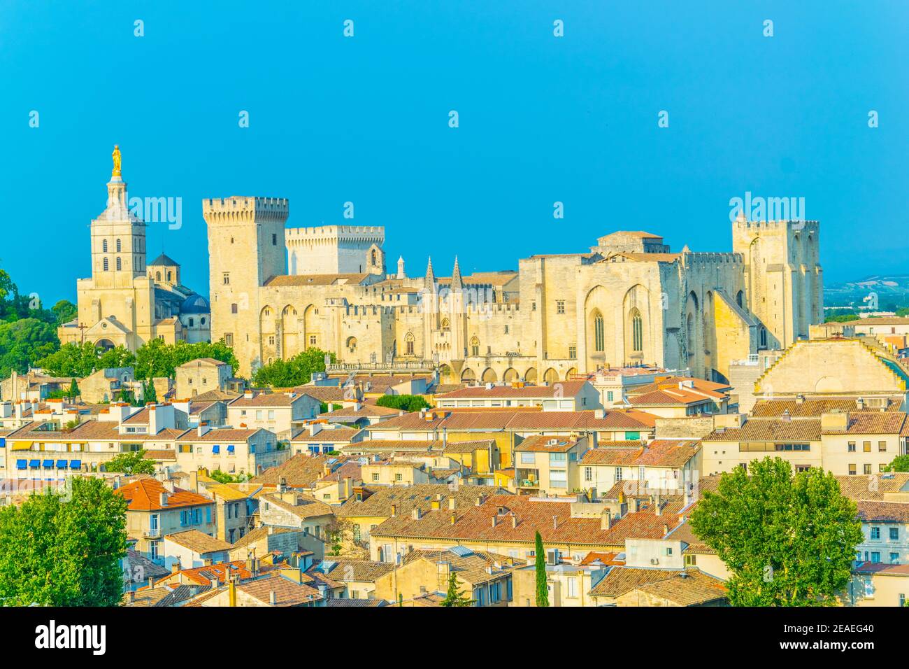 Cityscape of Avignon with Palais des Papes and Cathedral of Our Lady ...