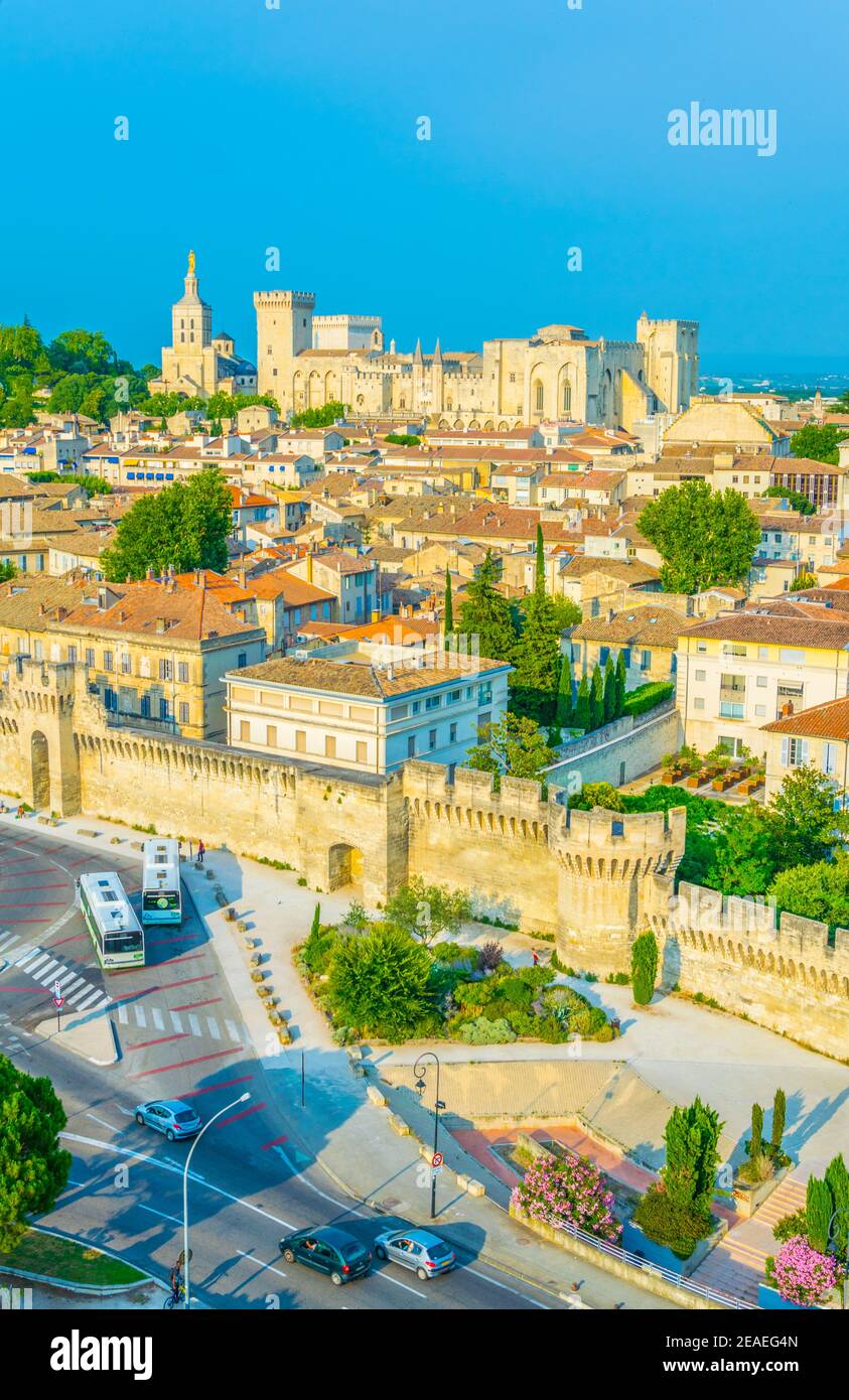 Cityscape of Avignon with Palais des Papes and Cathedral of Our Lady ...
