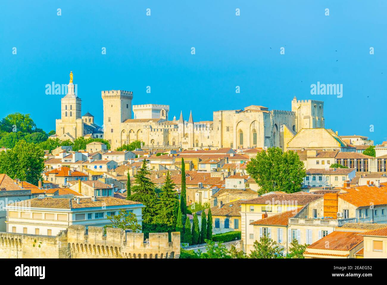 Cityscape of Avignon with Palais des Papes and Cathedral of Our Lady ...