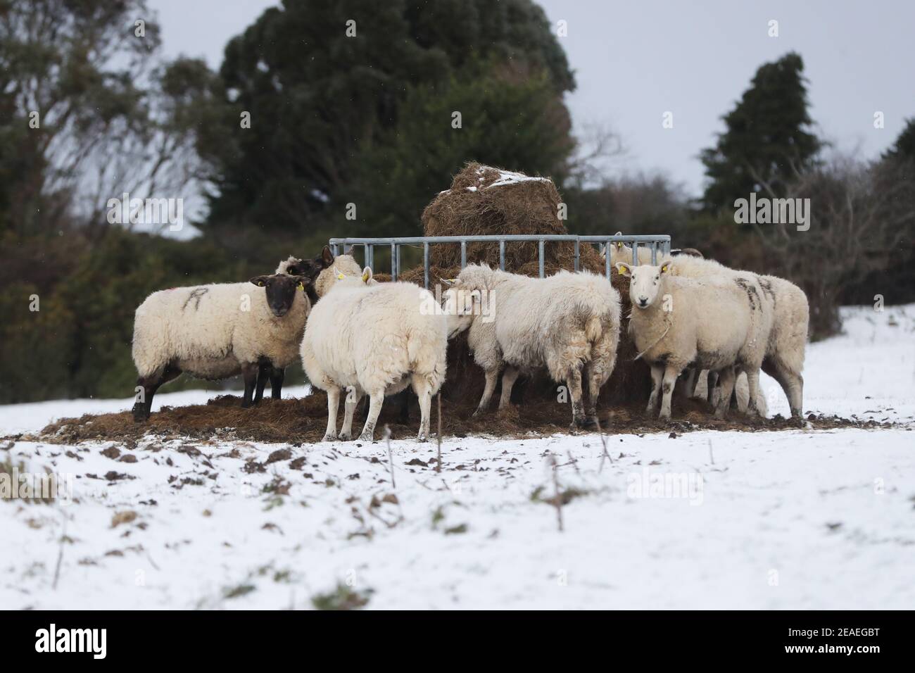 Glenasmole co dublin hi-res stock photography and images - Alamy