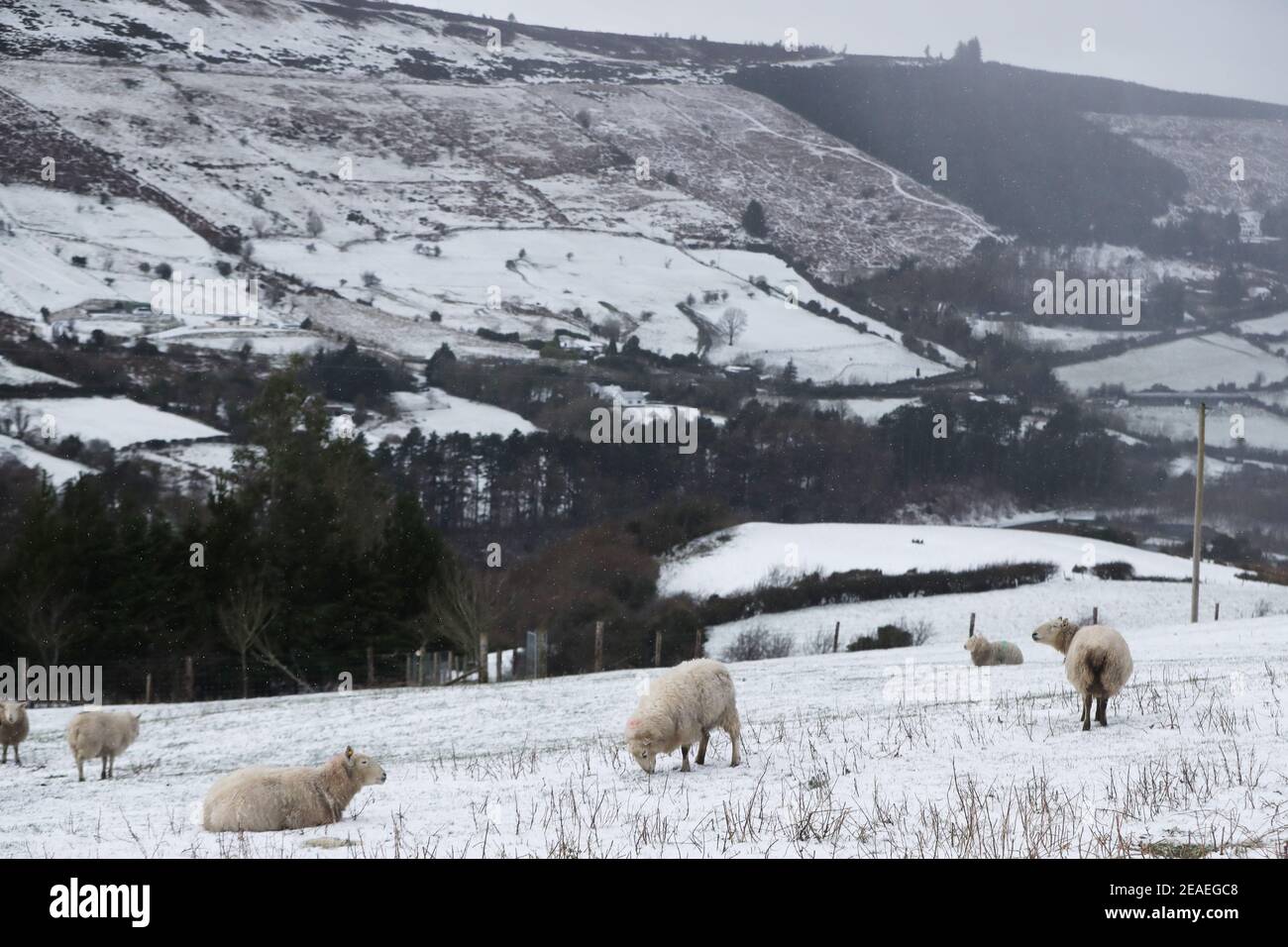 Glenasmole co dublin hi-res stock photography and images - Alamy
