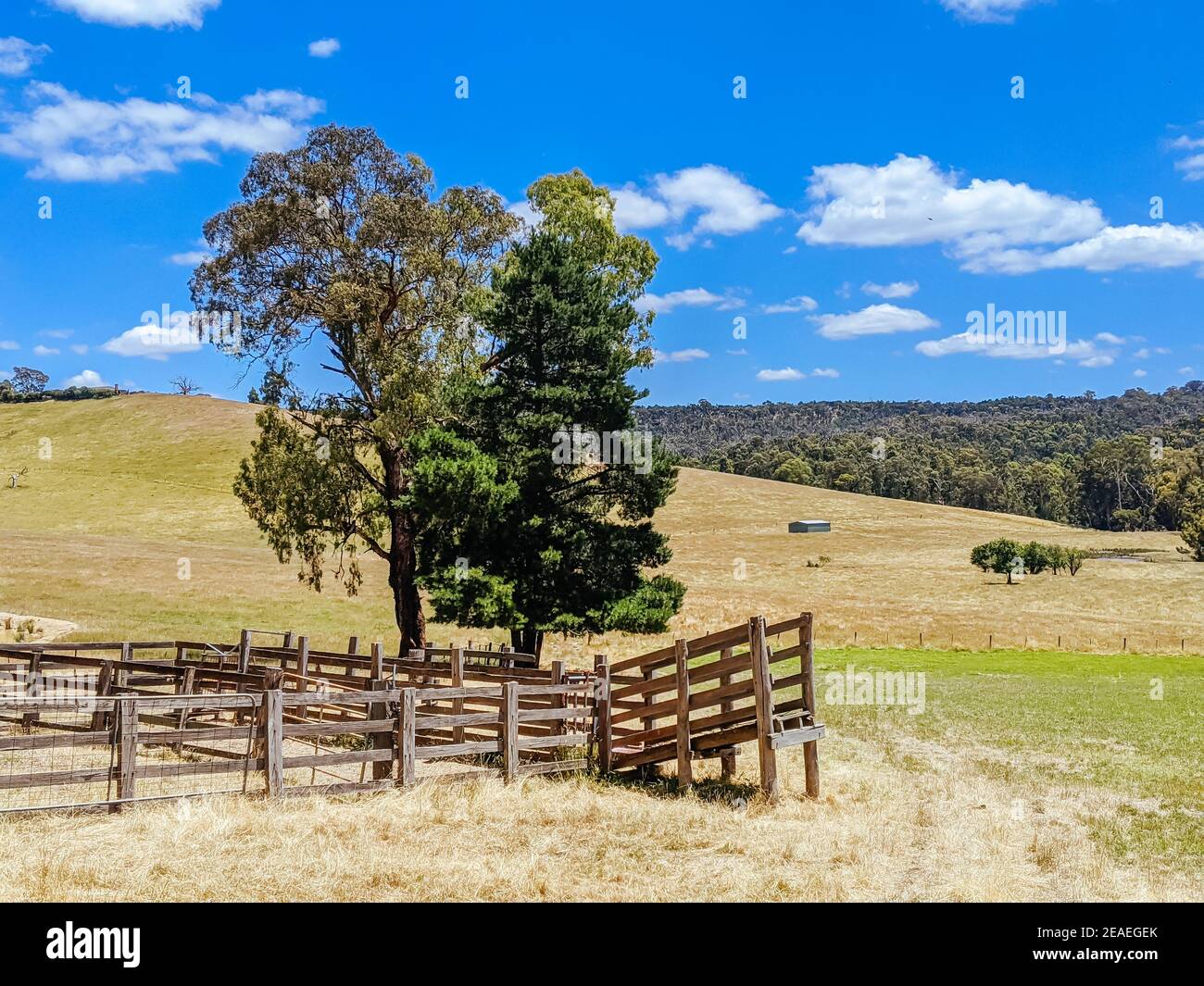 Victorian Rural Country in Australia Stock Photo - Alamy