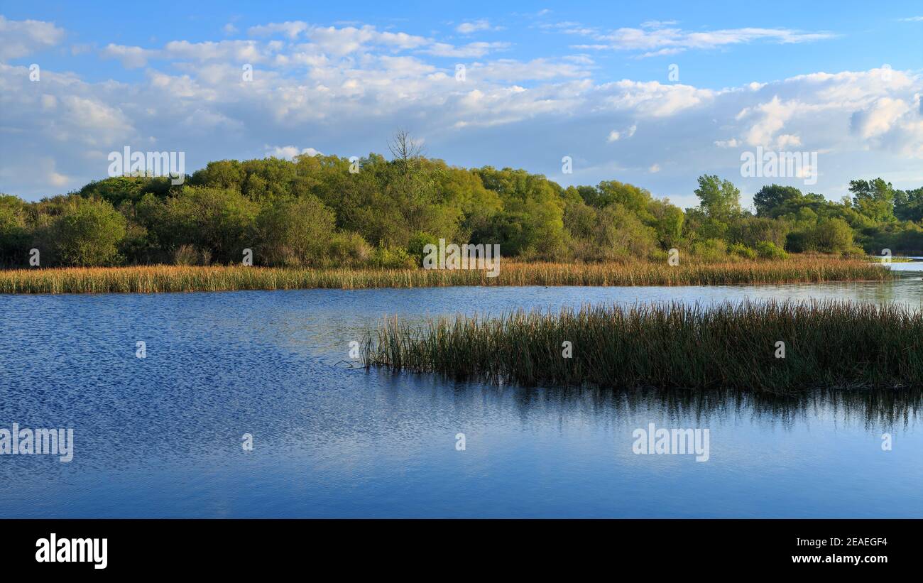 Summer scenic trees and waters hi-res stock photography and images - Alamy