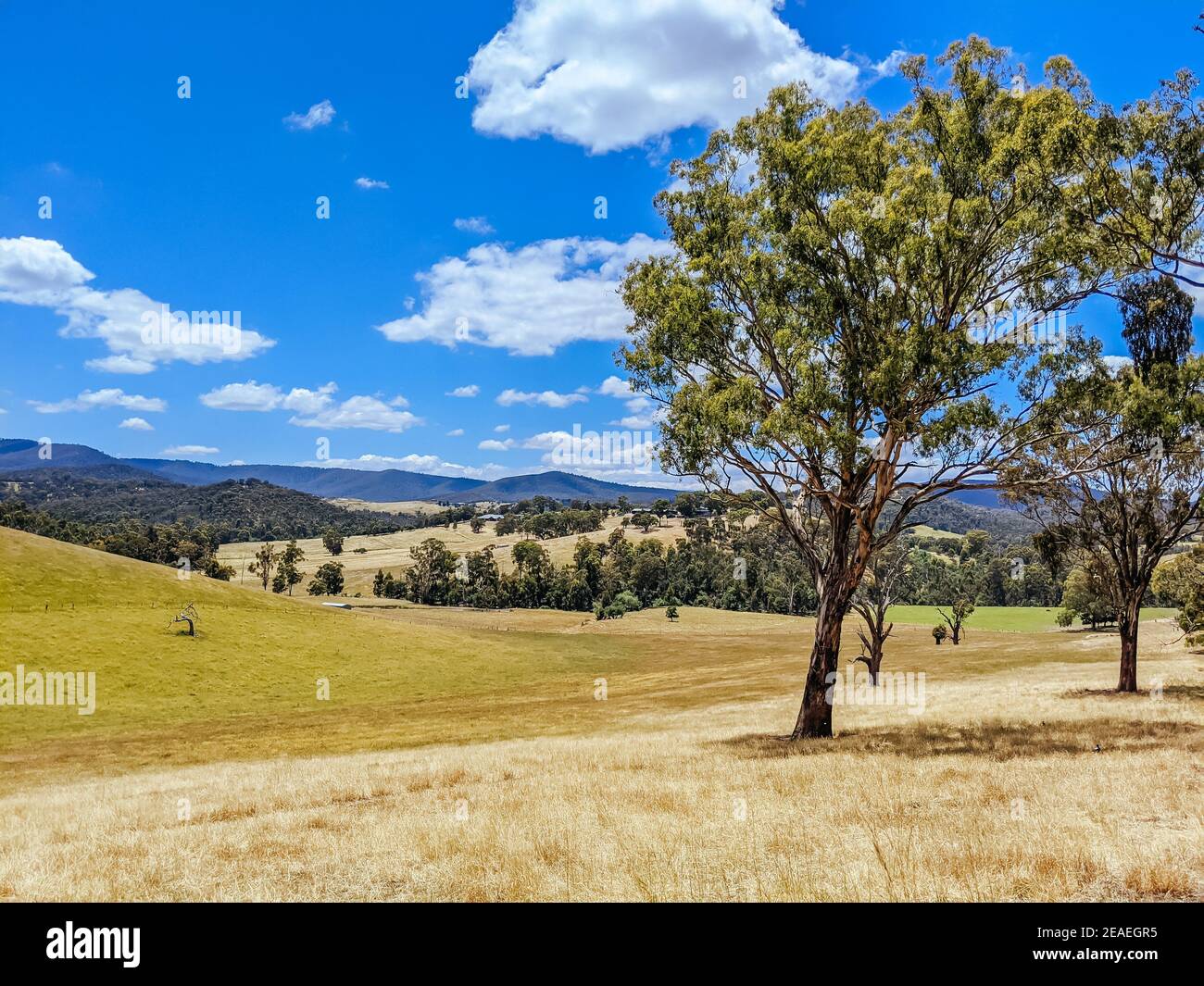 Victorian Rural Country in Australia Stock Photo - Alamy