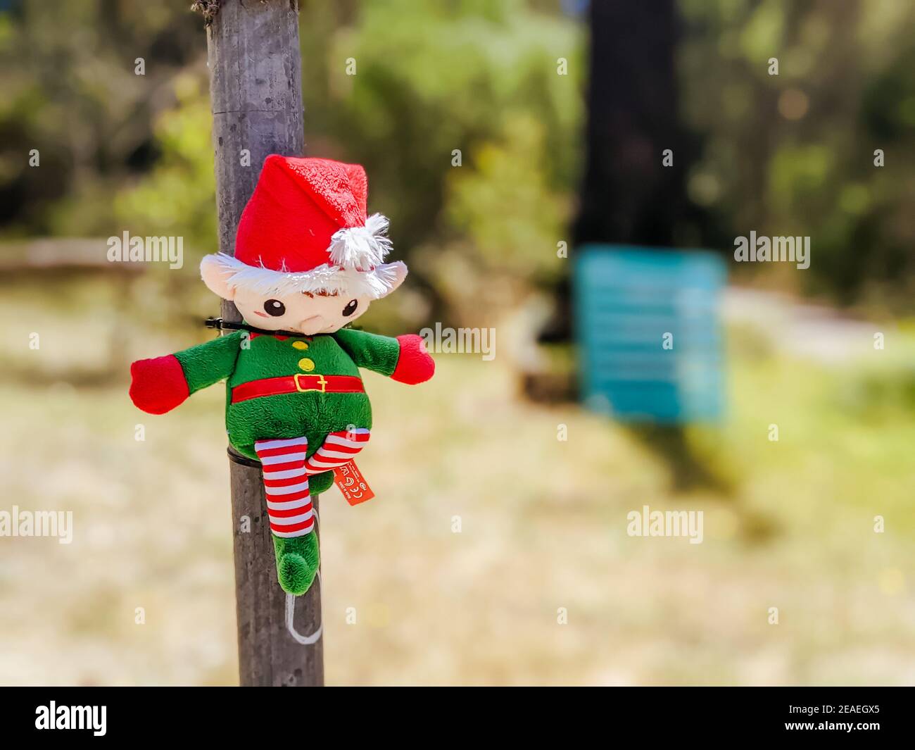 Victorian Rural Country at Christmas in Australia Stock Photo - Alamy