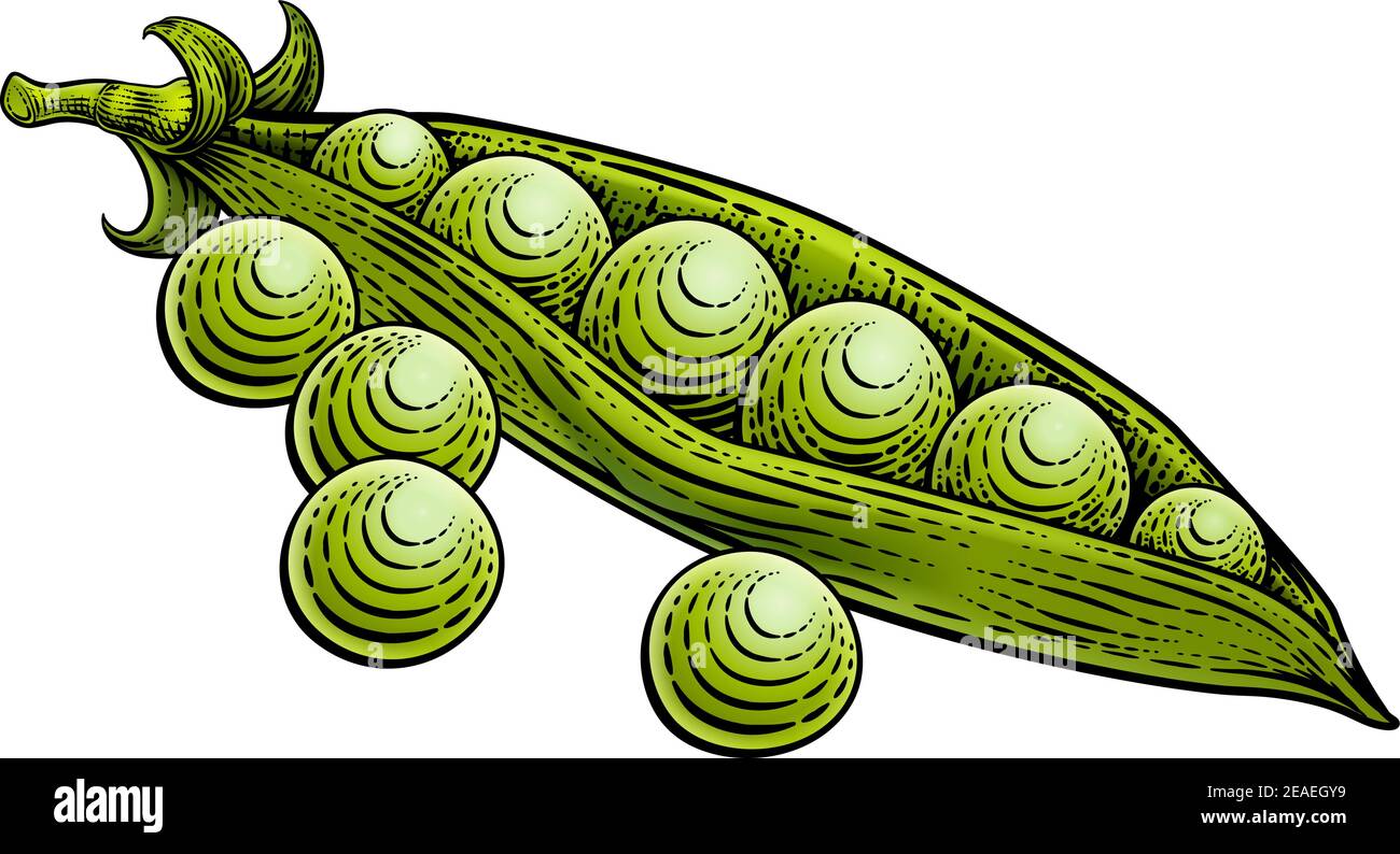 Pod pod Stock Vector Images - Alamy