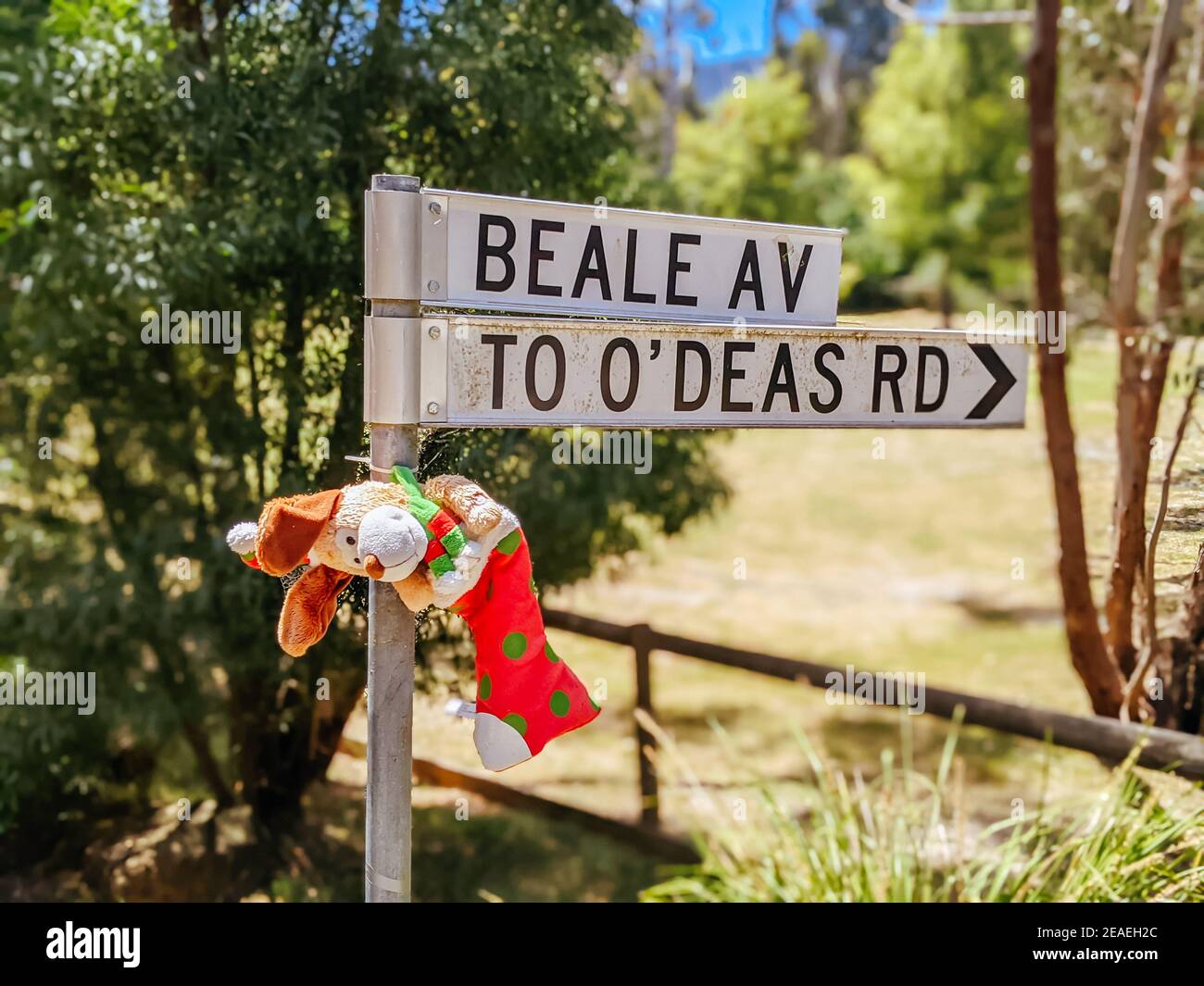 Victorian Rural Country at Christmas in Australia Stock Photo - Alamy