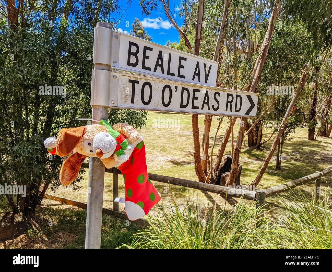 Victorian Rural Country at Christmas in Australia Stock Photo - Alamy