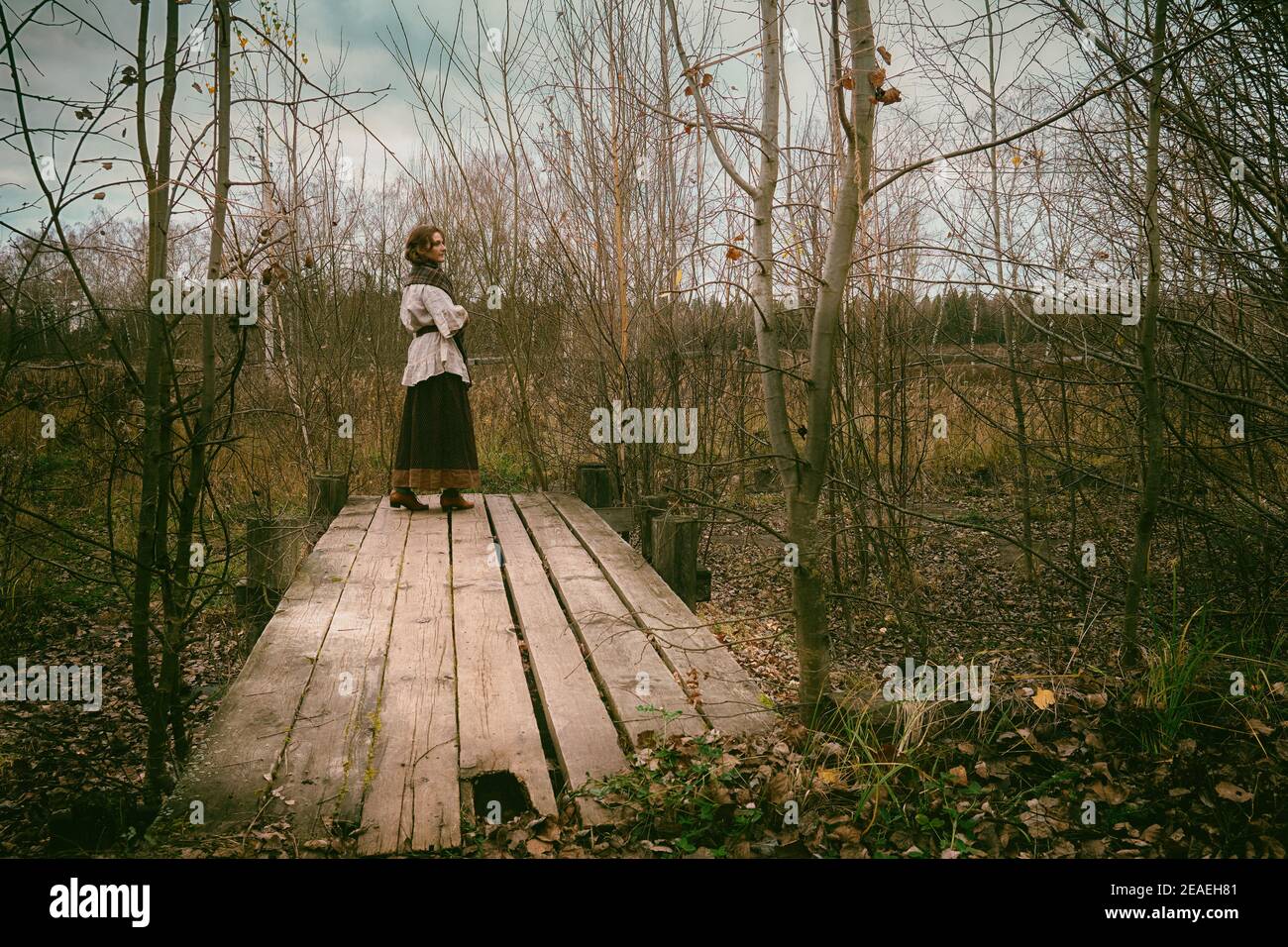 Swamp beds hi-res stock photography and images - Alamy