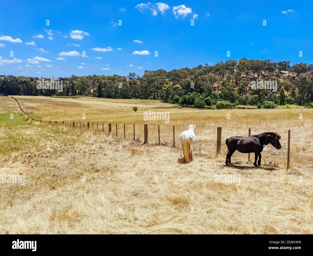 Victorian Rural Country in Australia Stock Photo - Alamy