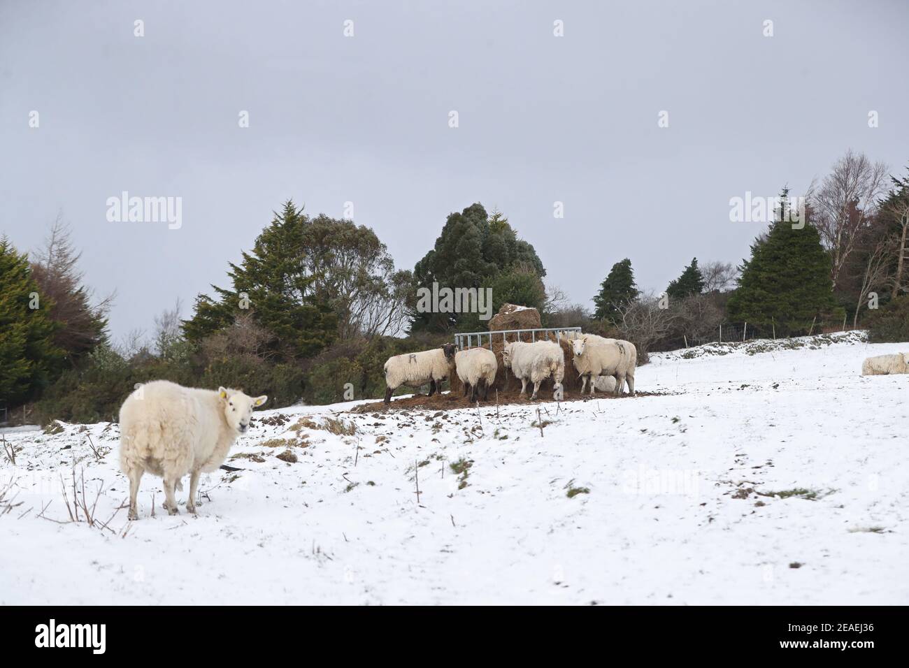 Glenasmole co dublin hi-res stock photography and images - Alamy