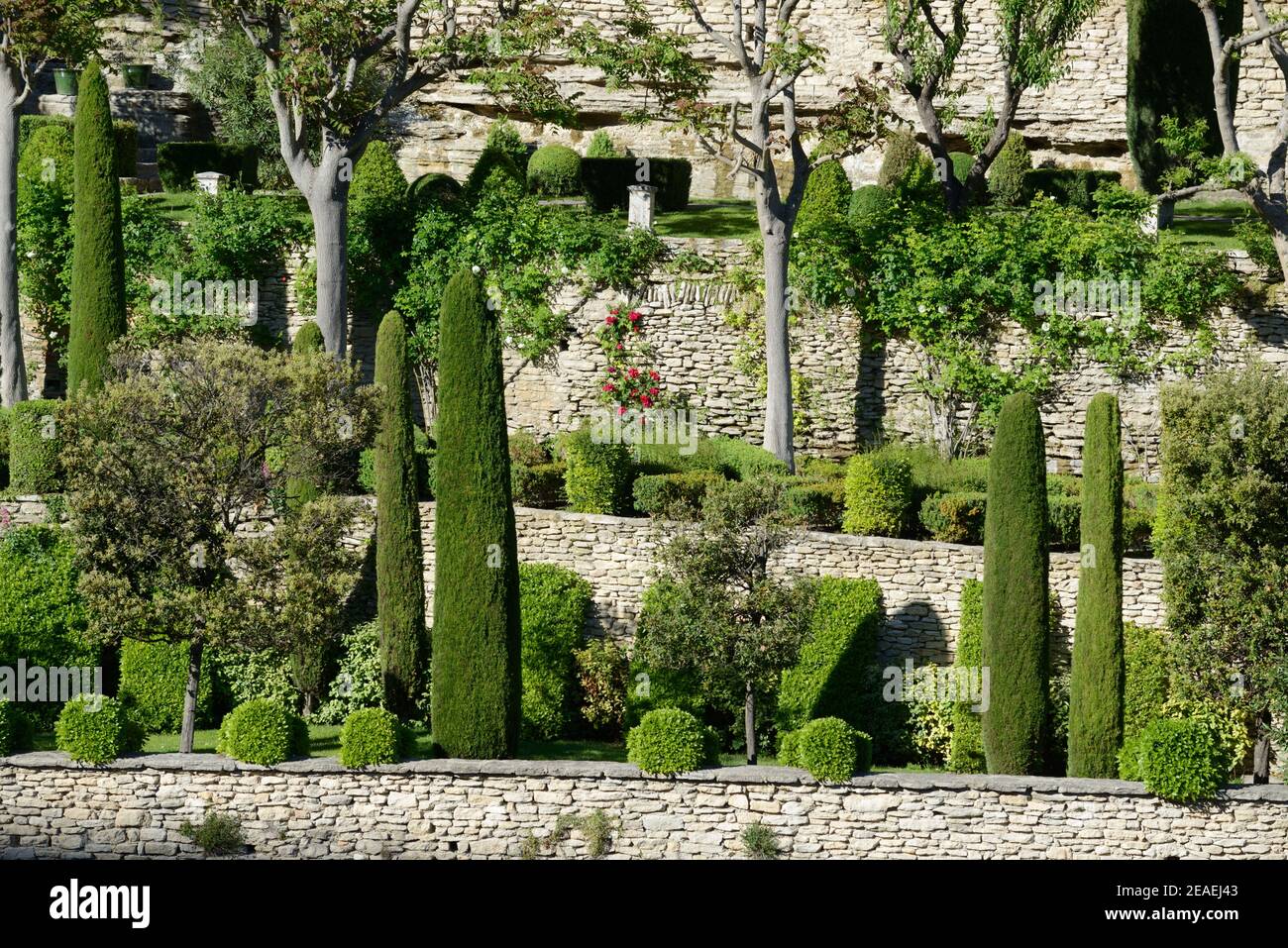 Terraced Gardens with Dry Stone Walls, Topiary Shrubs or Clipped Shrubs ...