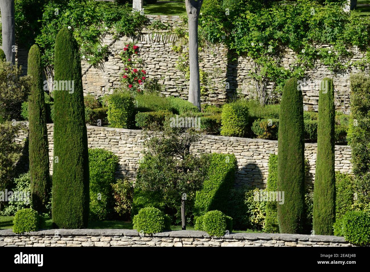 Terraced Gardens with Dry Stone Walls, Topiary Shrubs or Clipped Shrubs ...