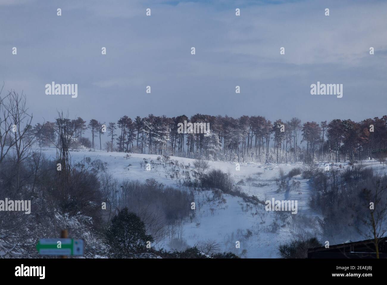 Buran hi-res stock photography and images - Alamy