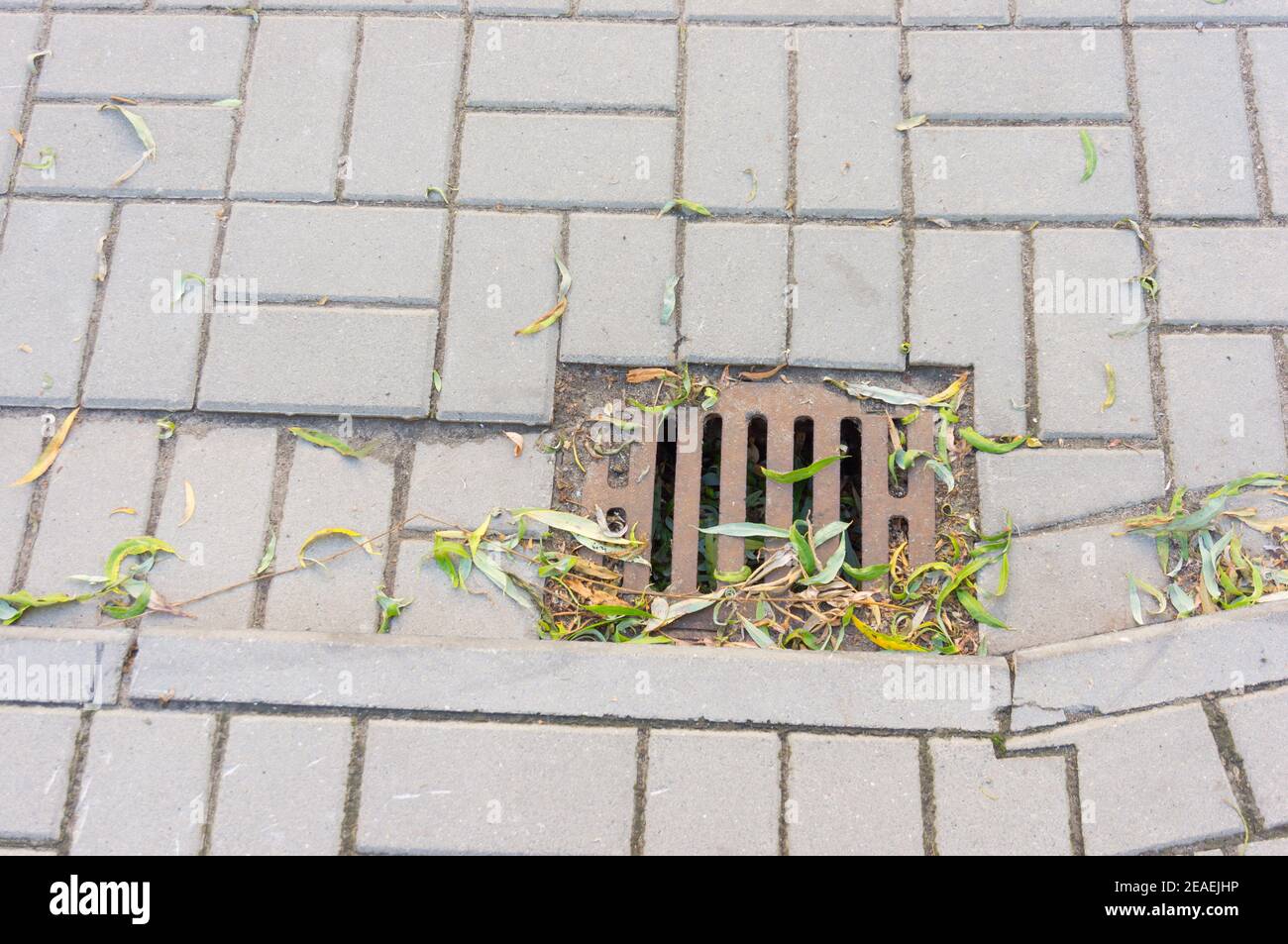 Iron grid for water flow in a sewer Stock Photo - Alamy