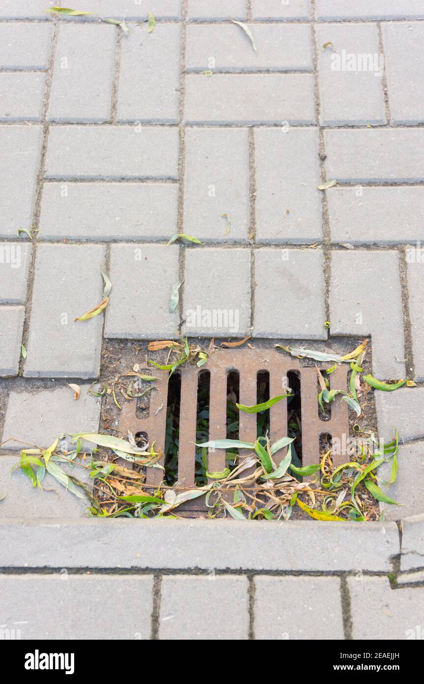 Iron grid for water flow in a sewer Stock Photo - Alamy