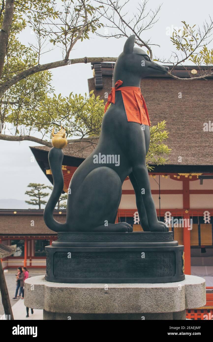 Asian fox hi-res stock photography and images - Alamy