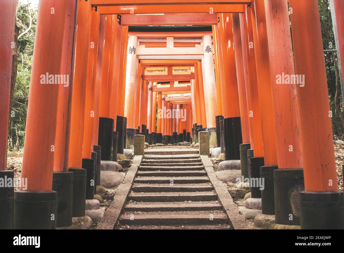 Red Torii gates in Fushimi Inari Taisha Shrine in Kyoto, Japan Stock ...