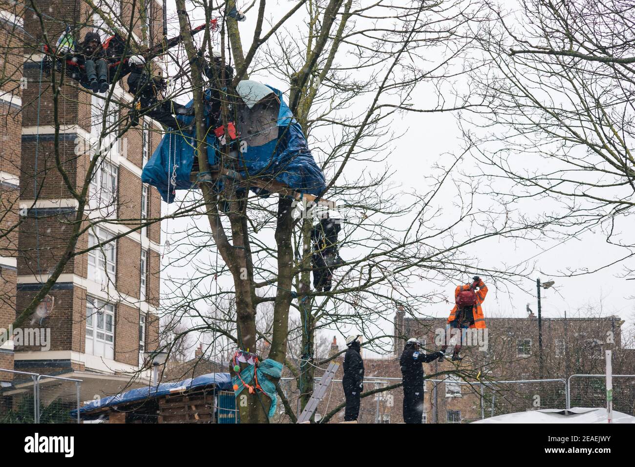 London protest save trees hi-res stock photography and images - Alamy