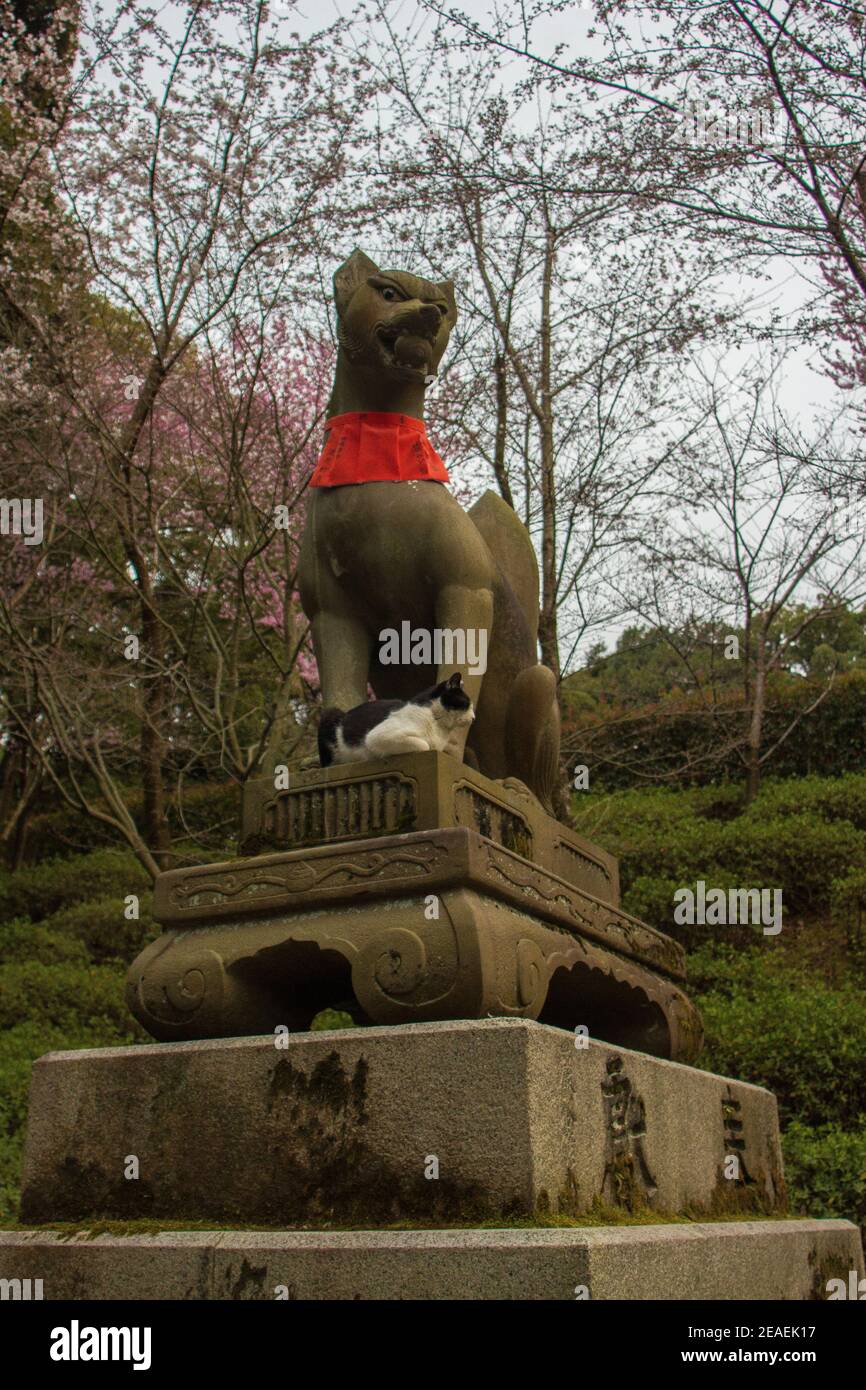Fox stone statue at Fushimi Inari Taisha Shrine in Kyoto, Japan Stock ...