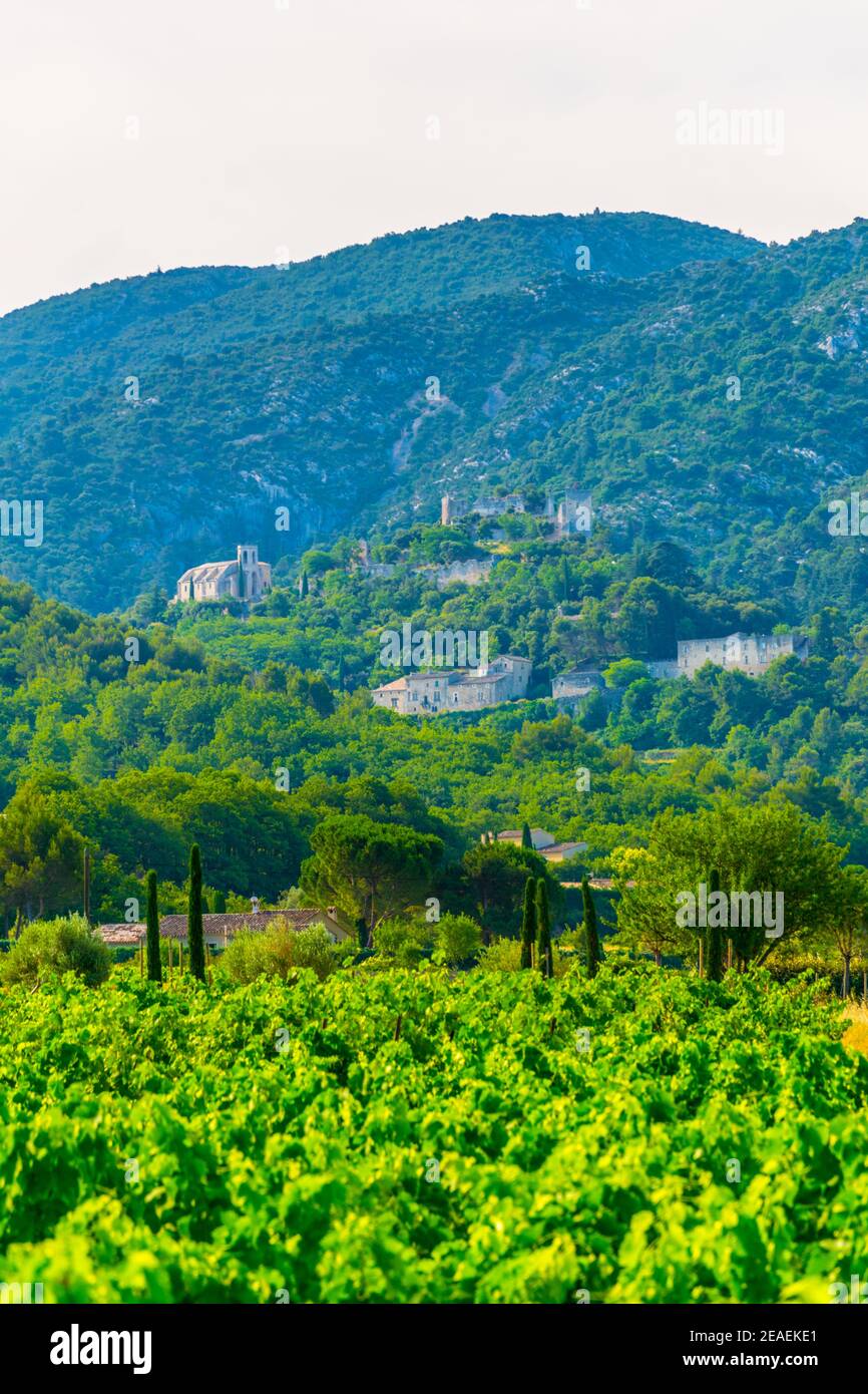 Oppede le Vieux village in France viewed behind vineyards Stock Photo ...