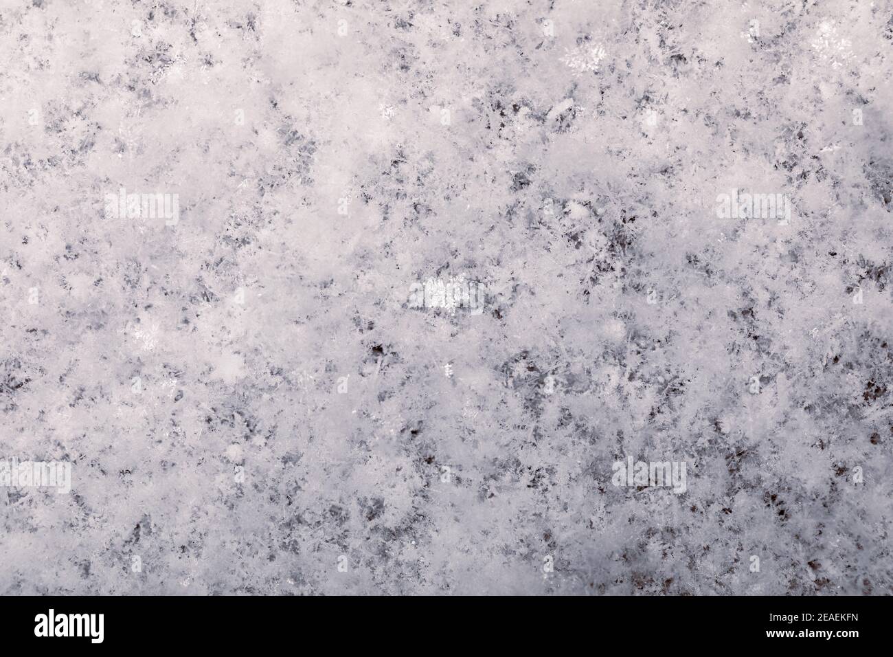 Fresh snowflakes pictured In close-up macro detail with individual ...