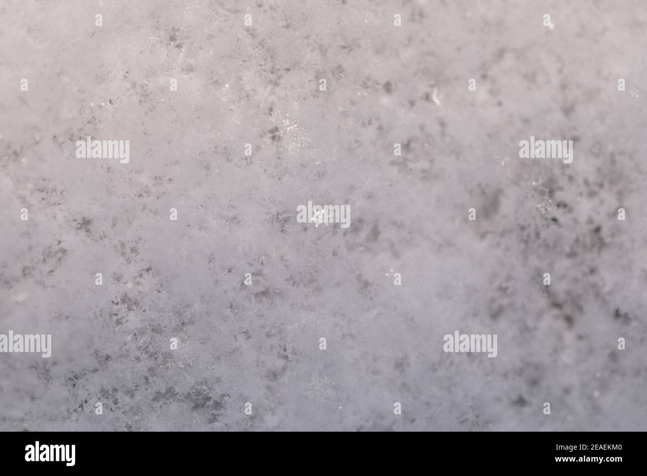 Fresh snowflakes pictured In close-up macro detail with individual ...